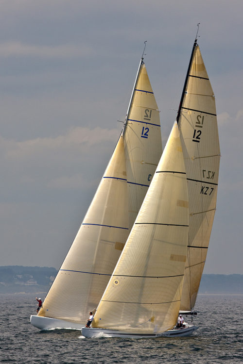 G268 - Alert - Onne van der Wal